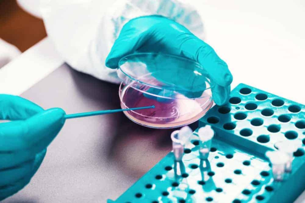 Pemeriksaan Feses: Proses, Pencegahan, dll. | Hello Sehat