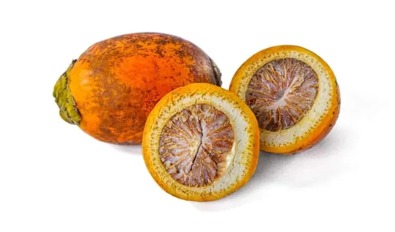 5 Manfaat Buah Pinang yang Baik untuk Tubuh | Hello Sehat