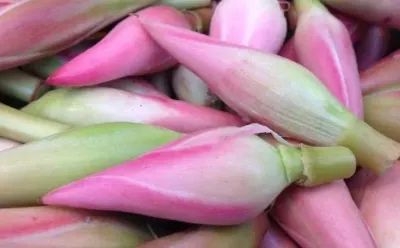 Manfaat Kecombrang untuk Kesehatan, Plus Cara Mengolahnya