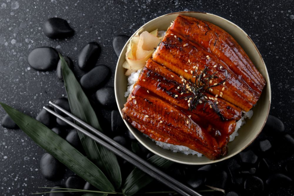 7 Manfaat Belut yang Kaya Protein dan Vitamin | Hello Sehat