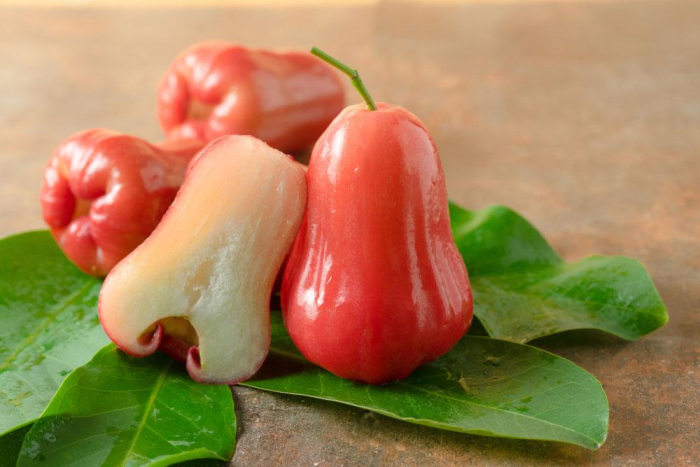 8 Manfaat Jambu Air Selain Menyegarkan Tubuh - Hello Sehat