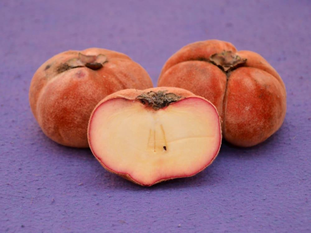 Mirip dengan Kesemek, Ini 7 Manfaat Buah Mentega - Hello Sehat