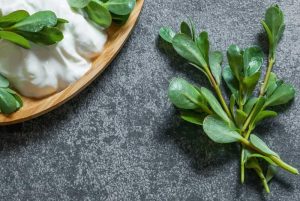 5 Manfaat Daun Krokot Selain Mencegah Risiko Kanker • Hello Sehat