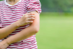 Pertolongan Pertama Gigitan Tomcat dengan Mudah - Hello Sehat