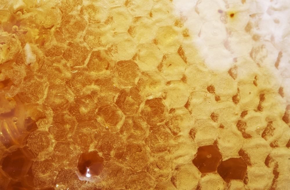 Cara Membedakan Madu Manuka Asli dan Palsu | Hello Sehat