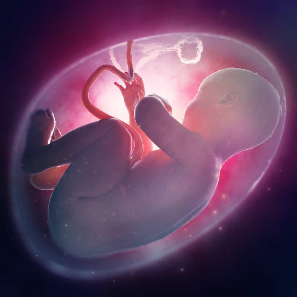 Apa Itu Plasenta? Ini Fakta yang Perlu Diketahui Seputar Ari-Ari Bayi