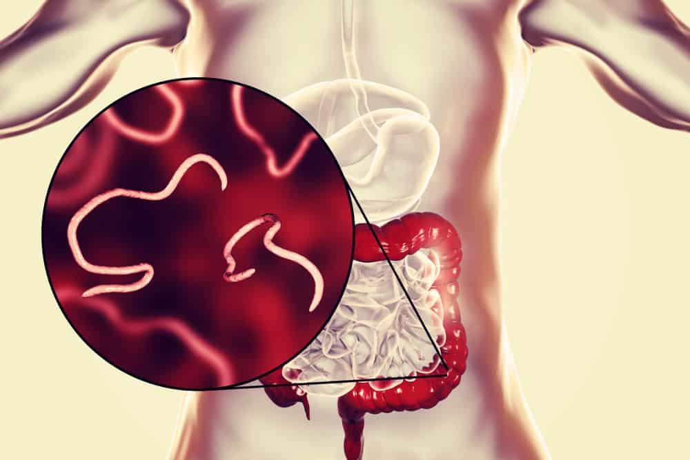 Artikel Kesehatan Infeksi Melalui Makanan | Hello Sehat