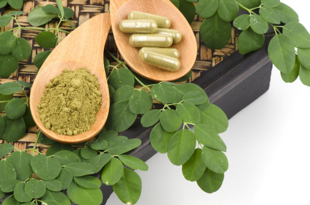 Manfaat Daun Kelor untuk Mata, Menurunkan Risiko Penyakit Mata | Hello ...