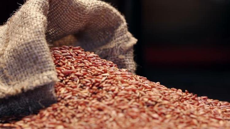 Angkak Merah: Kandungan, Manfaat, dan Efek Samping