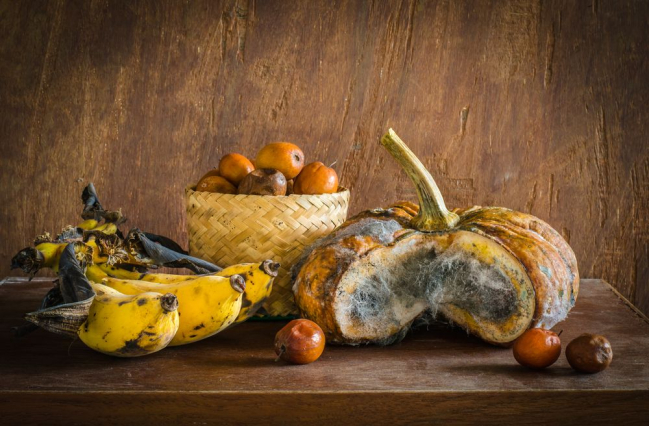 Kondisi Penyebab Makanan Cepat Basi - Hello Sehat