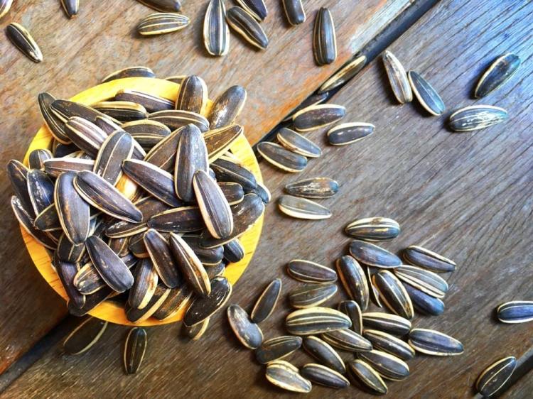 8 Manfaat Kuaci yang Kerap Dijadikan Camilan - Hello Sehat