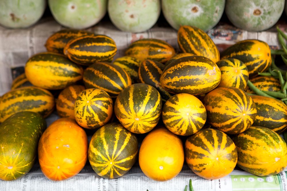 5 Manfaat Timun Suri, si Buah Favorit Berbuka Puasa - Hello Sehat