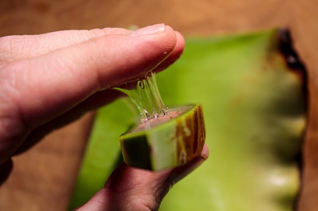 Fakta Seputar Lendir, Fungsi dan Arti Warnanya - Hello Sehat