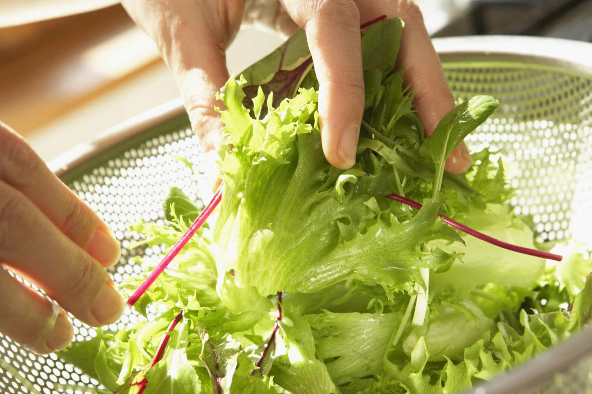 9 Manfaat Daun Selada yang Mungkin Anda Belum Tahu - Hello Sehat