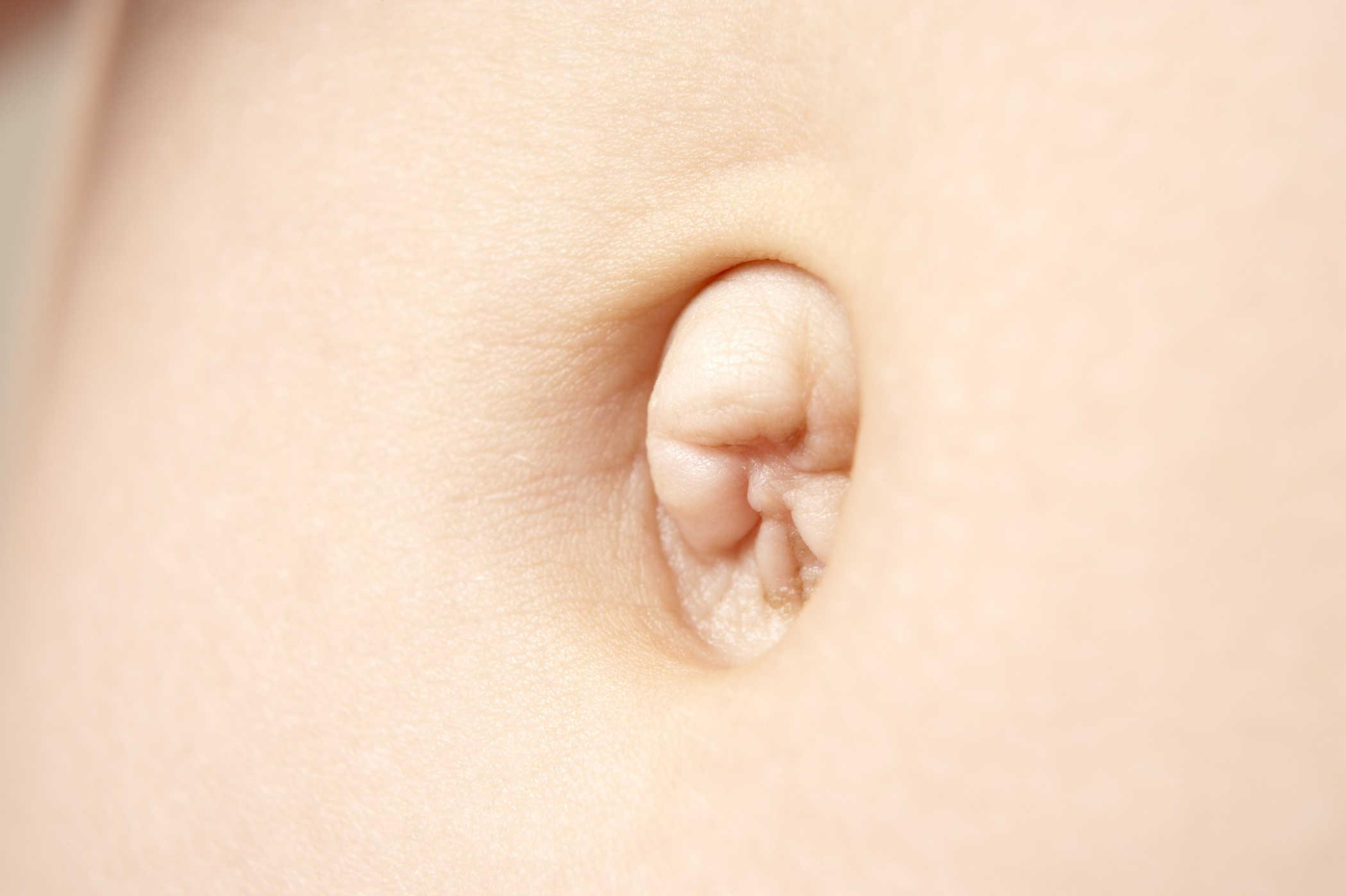 Fungsi Pusar Manusia dan 7 Fakta Uniknya - Hello Sehat