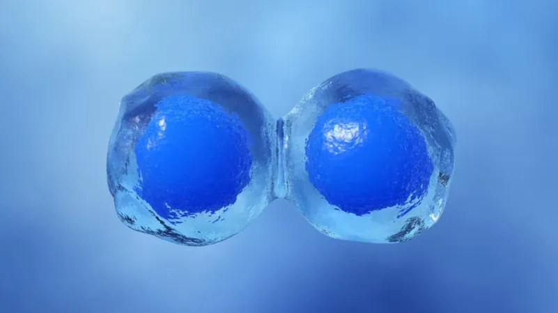 Mengenal Struktur dan Fungsi Sel Tubuh Manusia - Hello Sehat