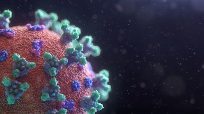 Apa Itu Siklus Litik dan Lisogenik pada Replikasi Virus?