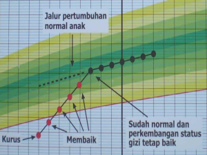 KMS (Kartu Menuju Sehat), Apa Fungsinya dan Bagaimana Membacanya?
