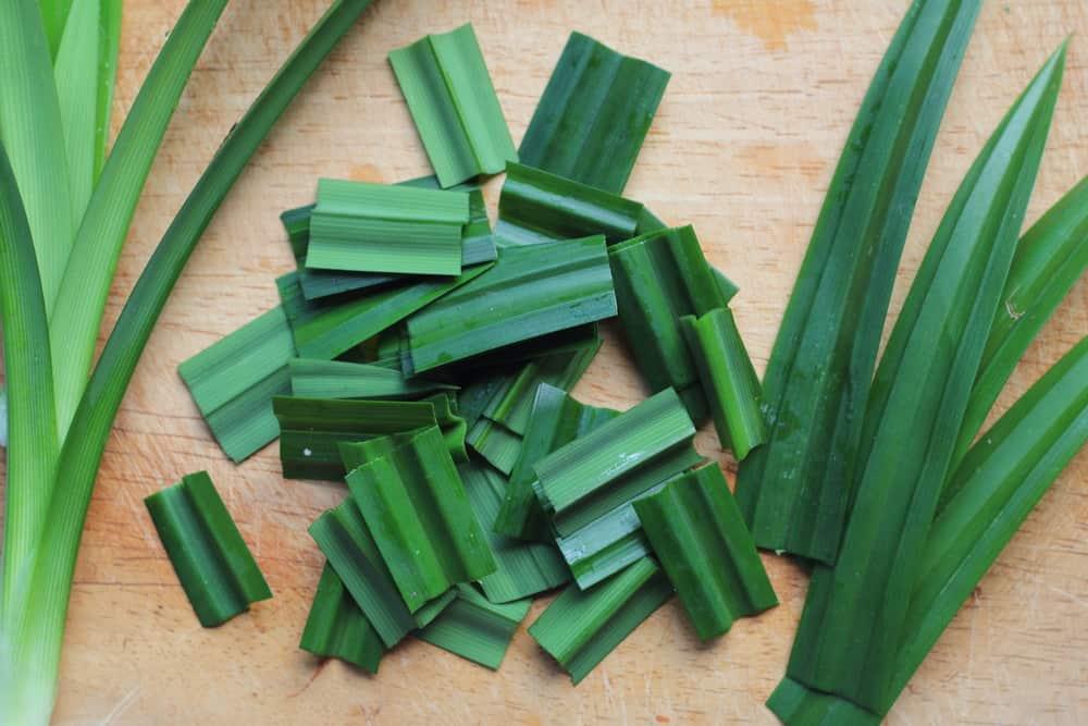 Manfaat Daun Pandan yang Sayang Dilewatkan | Hello Sehat