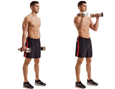 10 Cara Melatih Otot Bisep dan Trisep Sehari-hari • Hello Sehat