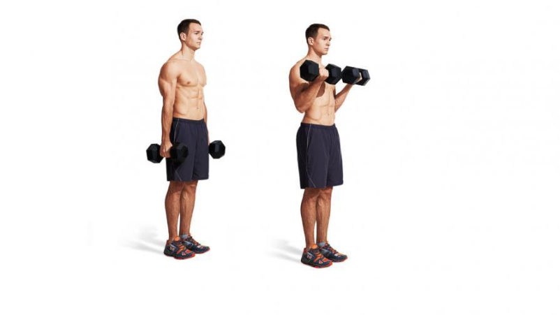 10 Cara Melatih Otot Bisep dan Trisep Sehari-hari • Hello Sehat