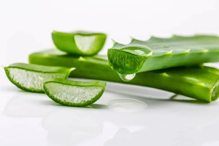7 Obat Herbal Psoriasis yang Berpotensi Redakan Gejala