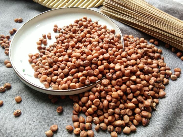 10 Manfaat Kacang Tolo yang Kaya Gizi untuk Tubuh Anda