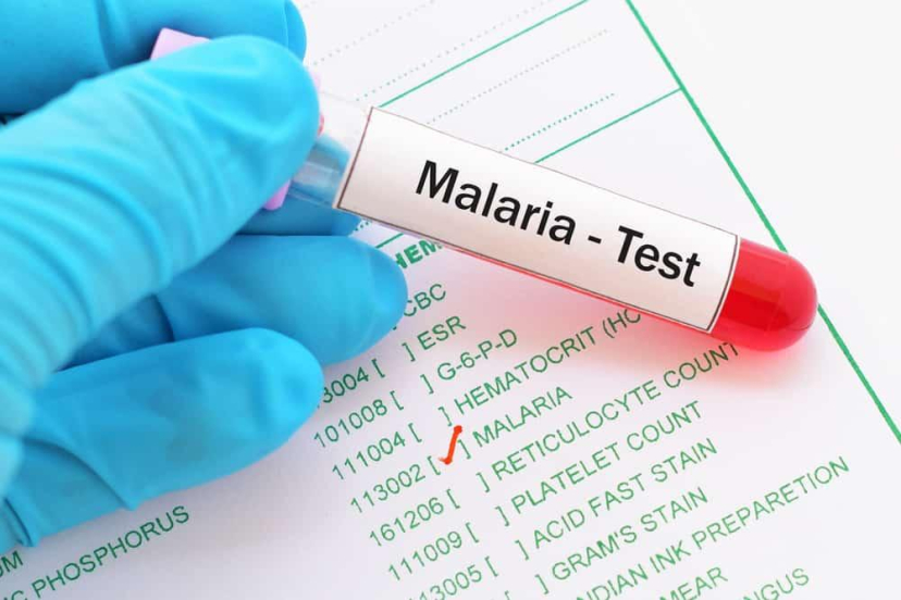 Tanda dan Gejala Malaria yang Tidak Boleh Anda Abaikan