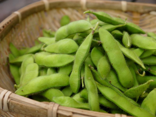 6 Manfaat Edamame yang Kaya Kandungan Protein - Hello Sehat