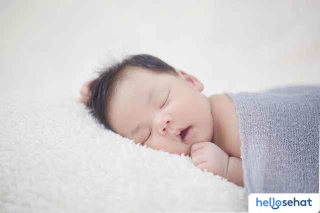 Artikel Bayi | Hello Sehat