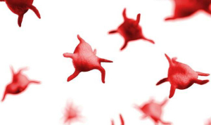 Menilik Fungsi dan Jumlah Normal Trombosit dalam Tubuh