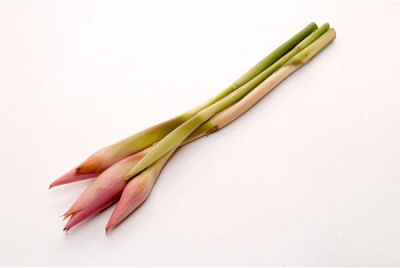 Manfaat Kecombrang untuk Kesehatan, Plus Cara Mengolahnya