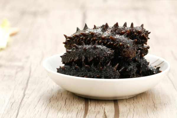 7 Manfaat Teripang, Si Hewan Laut yang Kenyal | Hello Sehat