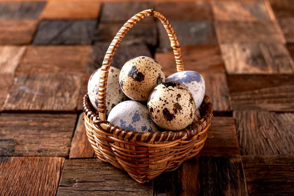 7 Manfaat Telur Puyuh, Plus Kandungan Gizinya - Hello Sehat
