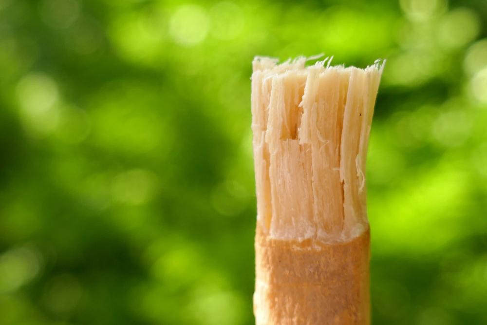 Manfaat Siwak untuk Wajah, Cegah Infeksi dan Jaga Kehalusan