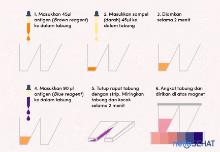 Cara Kerja Tes TUBEX untuk Mendeteksi Tipes - Hello Sehat