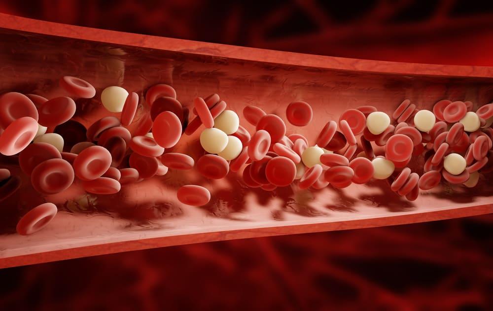 5 Cara Mudah Melancarkan Peredaran Darah dalam Tubuh - Hello Sehat