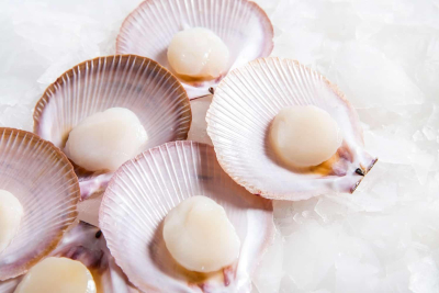 5 Cara Memasak Scallop (Kerang Kampak) yang Sehat dan Benar