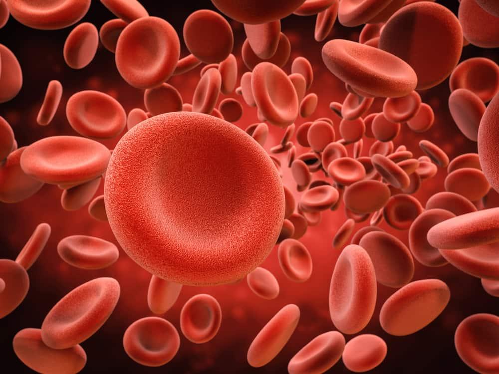 Fungsi Hemoglobin dan Kadar Normalnya dalam Tubuh | Hello Sehat
