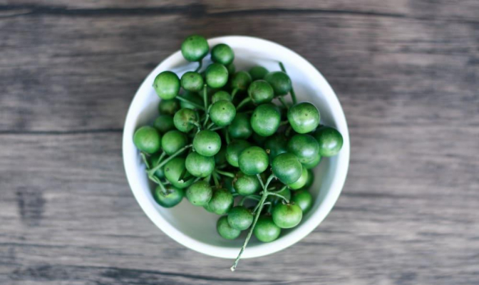 3 Resep Olahan Leunca yang Lezat nan Bergizi untuk Tubuh