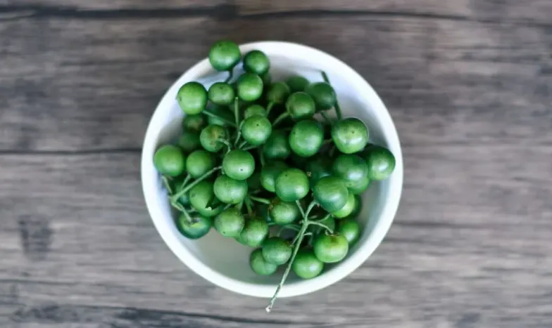 Tidak Hanya Jadi Lalapan, Ini 10 Manfaat Leunca untuk Tubuh