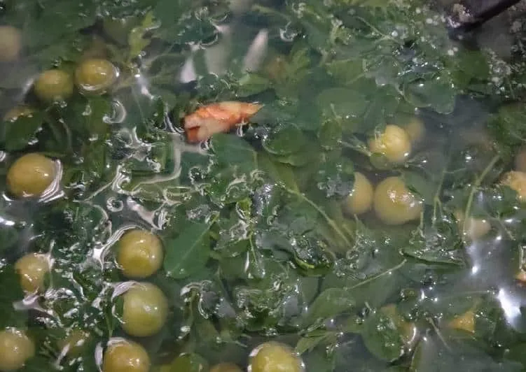 3 Resep Olahan Leunca yang Lezat nan Bergizi untuk Tubuh