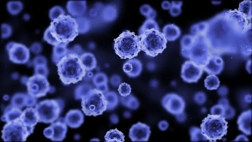 Tipe HPV, dari Tak Berbahaya hingga Penyebab Kanker Serviks
