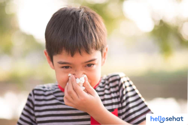 5 Cara Mengatasi Anak Pilek Alergi pada Anak • Hello Sehat