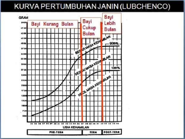 Tabel Berat Badan Bayi Prematur, Bagaimana Penjelasannya? Tabel Berat Badan Bayi Prematur, Bagaimana Penjelasannya?