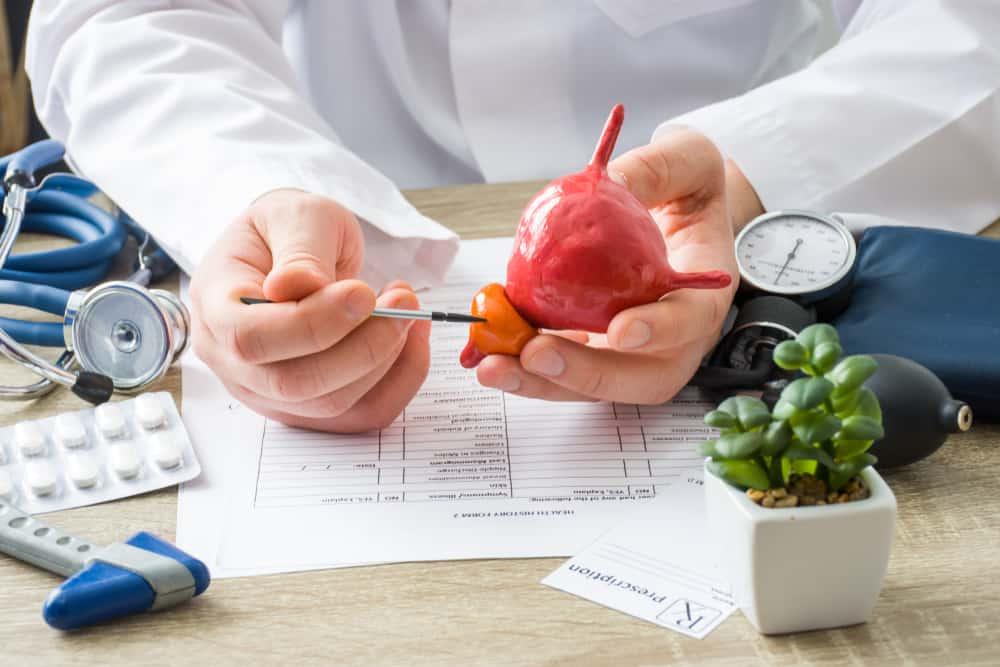 Organ Prostat: Fungsi dan Cara Menjaga Kesehatannya