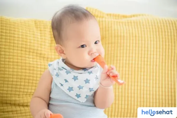 Fungsi Teether Bayi dan Tips Aman Memakainya - Hello Sehat