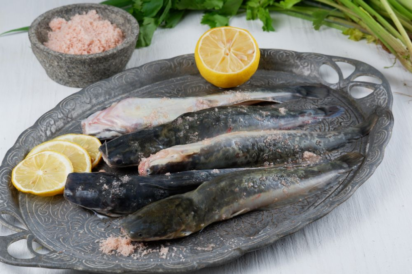 5 Manfaat Ikan Lele yang Ternyata Kaya Nutrisi - Hello Sehat