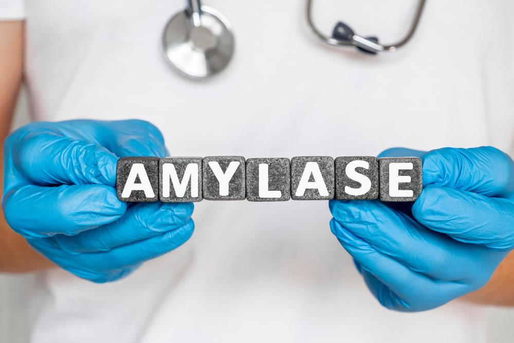 Fungsi Enzim Amilase dalam Pencernaan | Hello Sehat