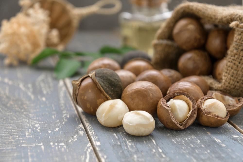 5 Manfaat Kacang Macadamia untuk Kesehatan - Hello Sehat